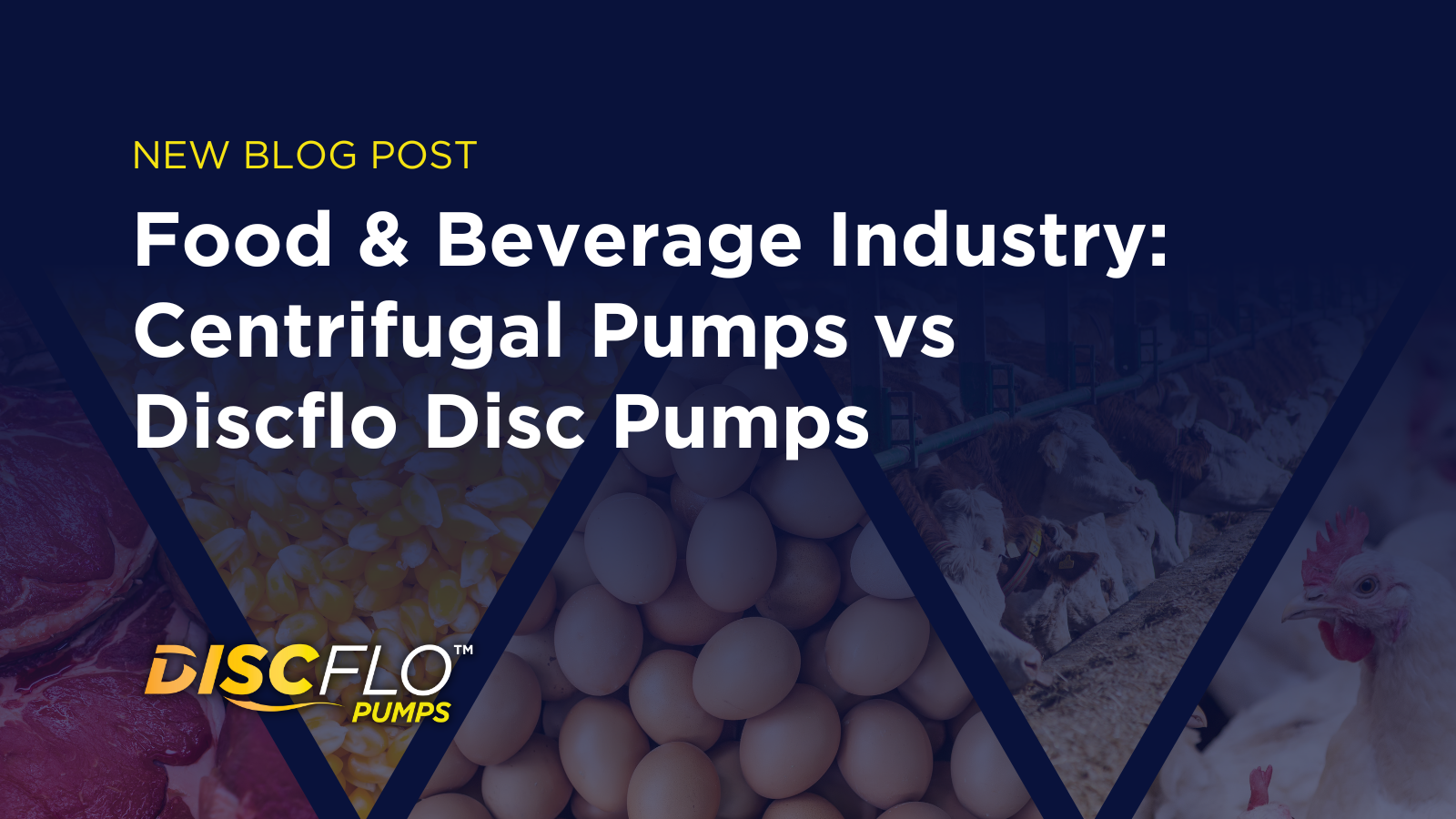 Four Sludge Pumping Challenges Discflo Disc Pumps Solve